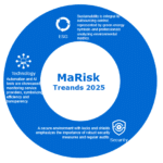 MaRisk: Germany’s Risk Management Framework for FIs